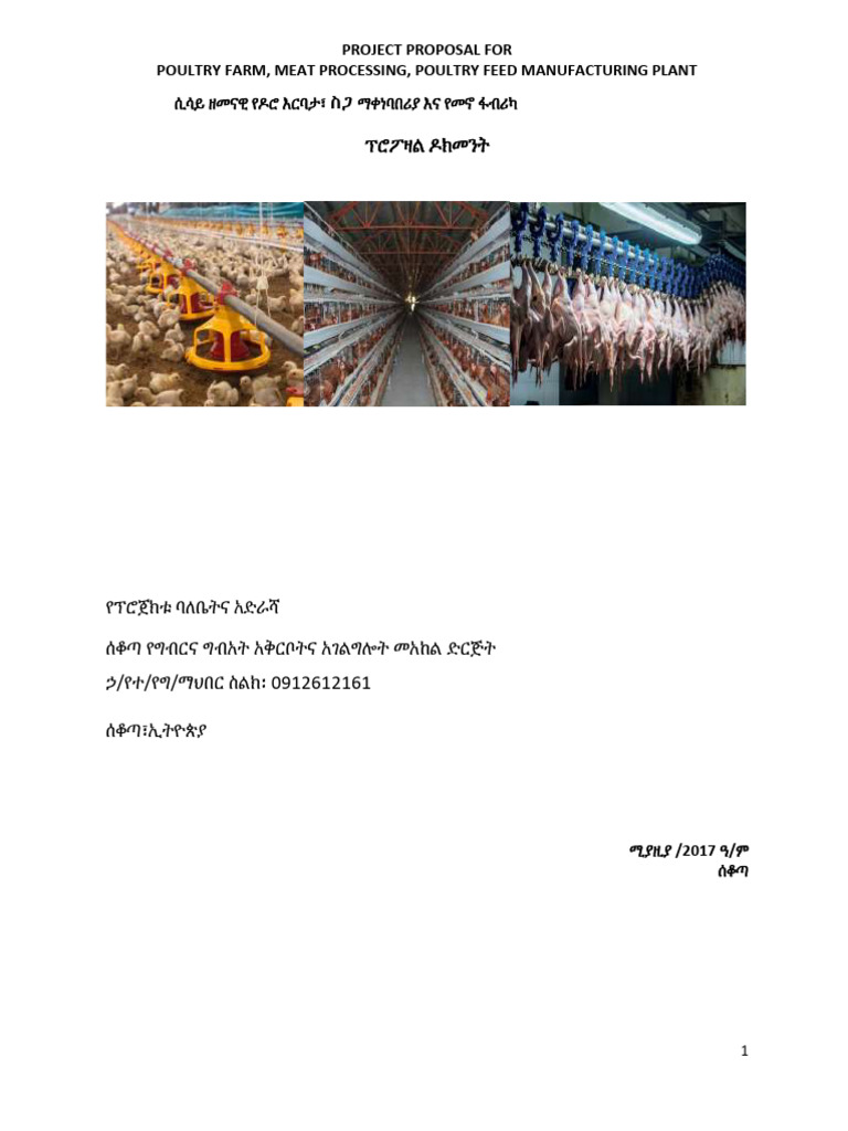 Sisay Project Proposal | PDF