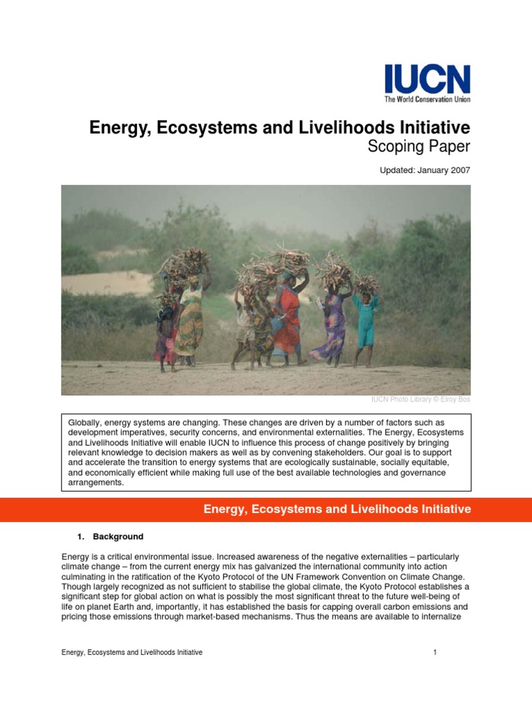 Energy Scoping Paper 2007-02-06 | PDF | International Union For ...