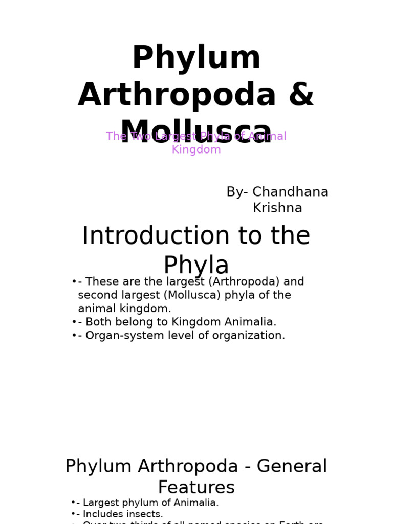 The Two Largest Phyla of Animal Kingdom | PDF | Mollusca | Insects