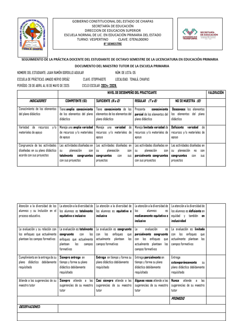 Observacion Tutor Ultima | PDF | Aprendizaje