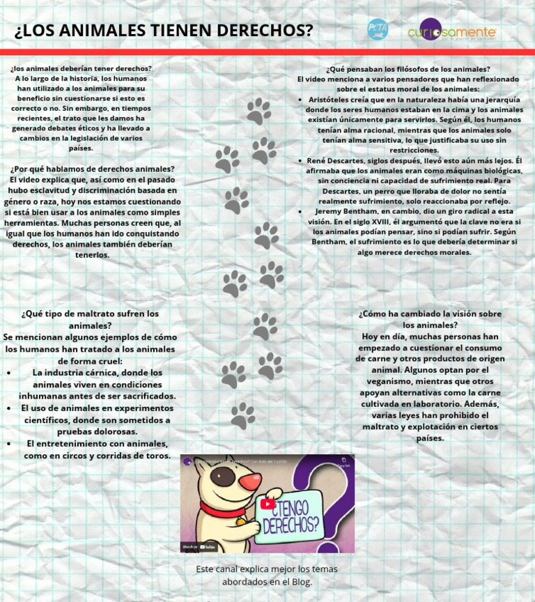 Derechos de los Animales: Ética y Debate | PDF | Derechos animales ...
