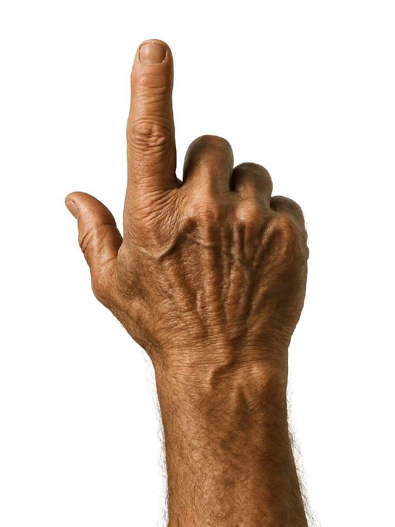 Envato Labs Image Edit | PDF