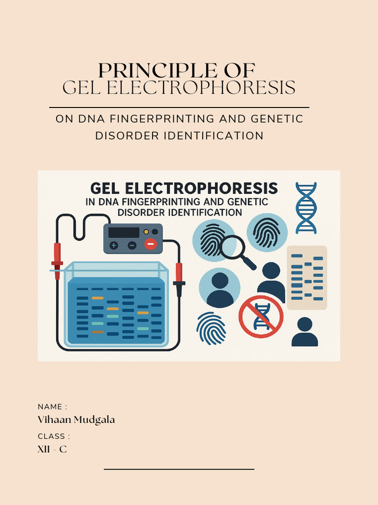 BIOLOGY Board Project First Draft Vihaan - Gel Electrophoresis | PDF | Dna Sequencing | Dna ...