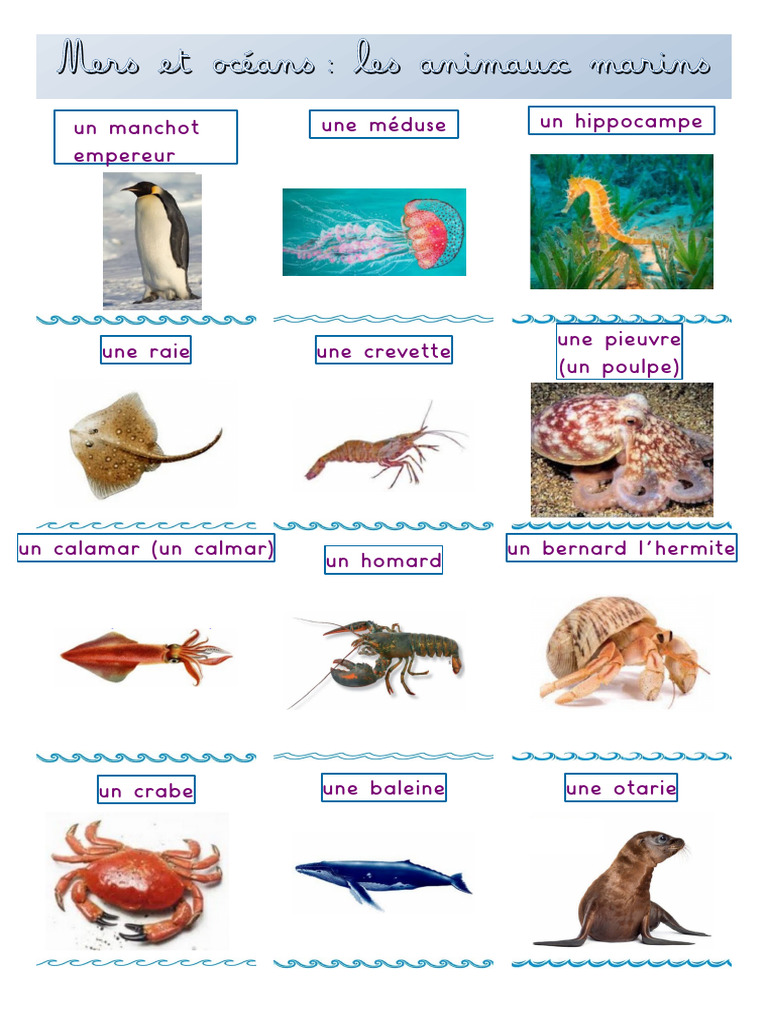 Animaux marins : liste et différences | PDF