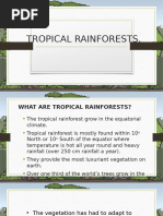 Layers of The Rainforest: Emergent | PDF