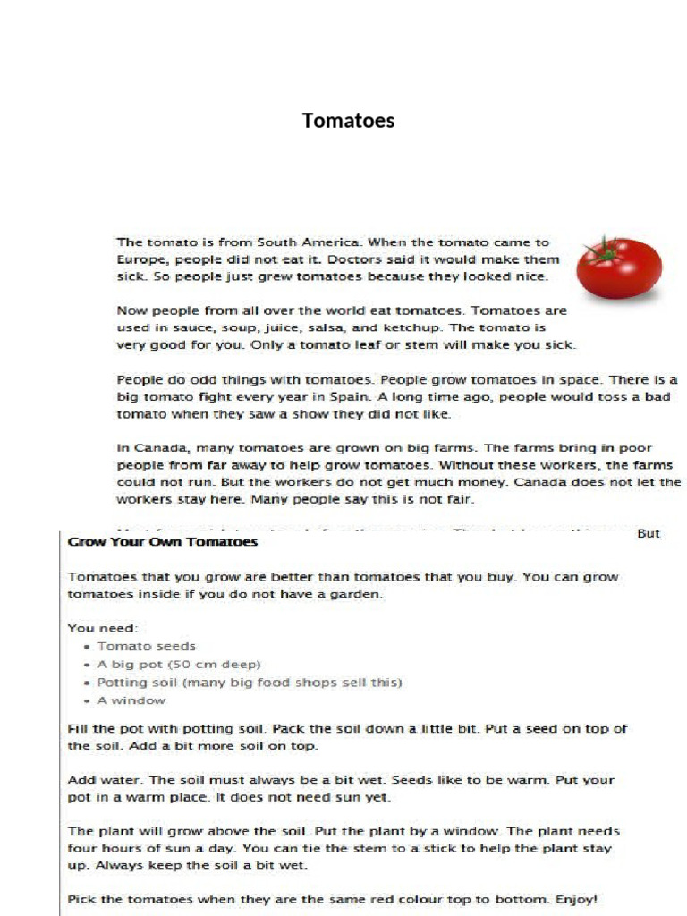 Tomatoes Reading | PDF