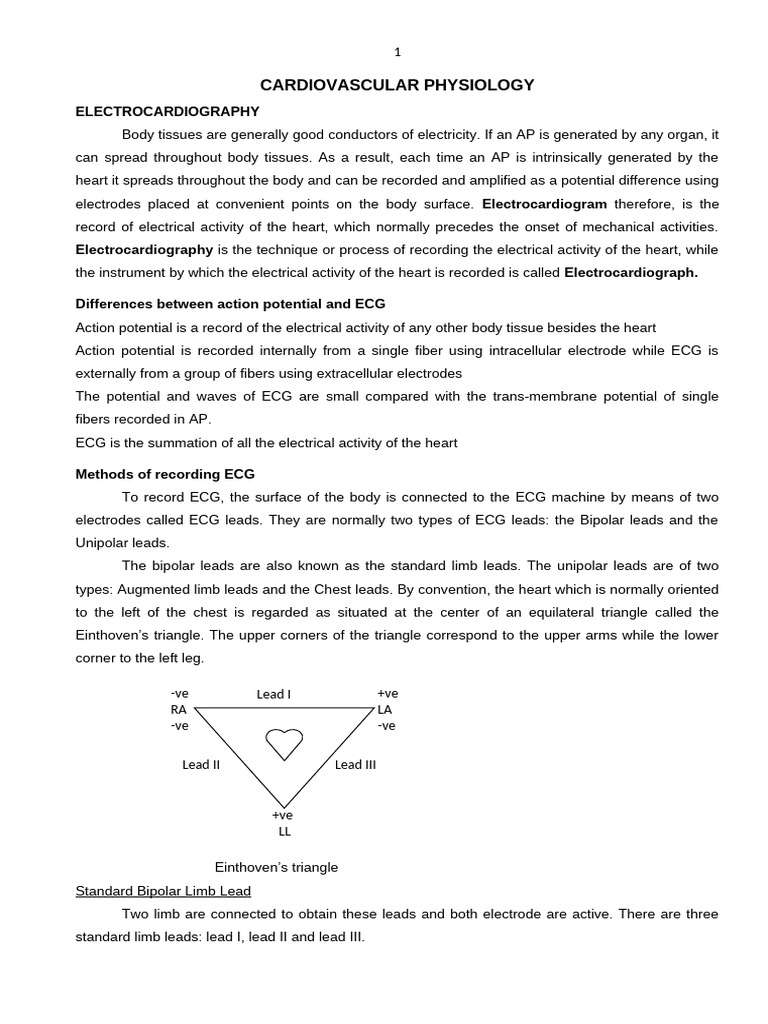 Cardiovascular Physiology BSC Pcii | PDF | Diastole | Electrocardiography