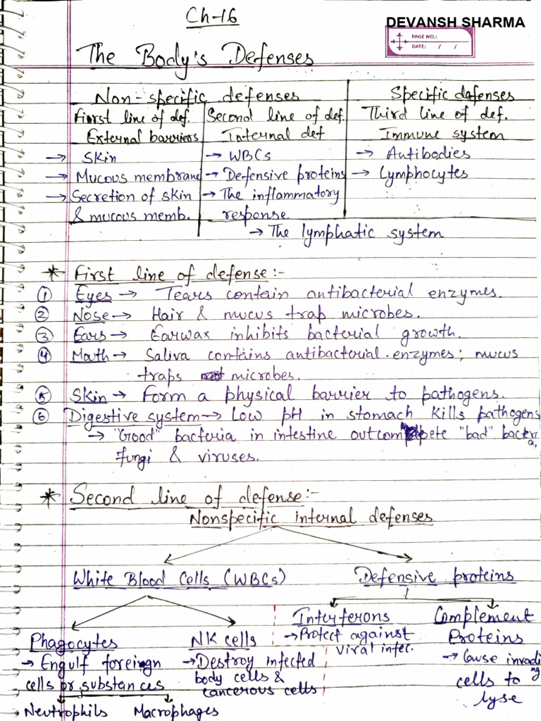 Ch-16, Immune System - The Body - S Defenses | PDF