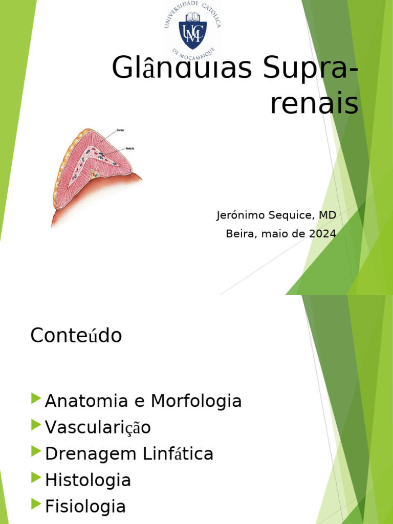 Funções das Glândulas Supra-renais | PDF | Rim | Glândula suprarrenal