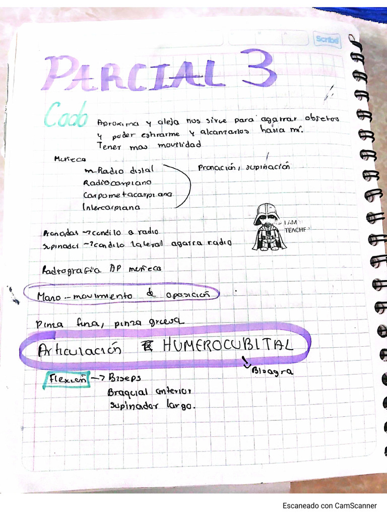 Portafolio 3er Parcial | PDF