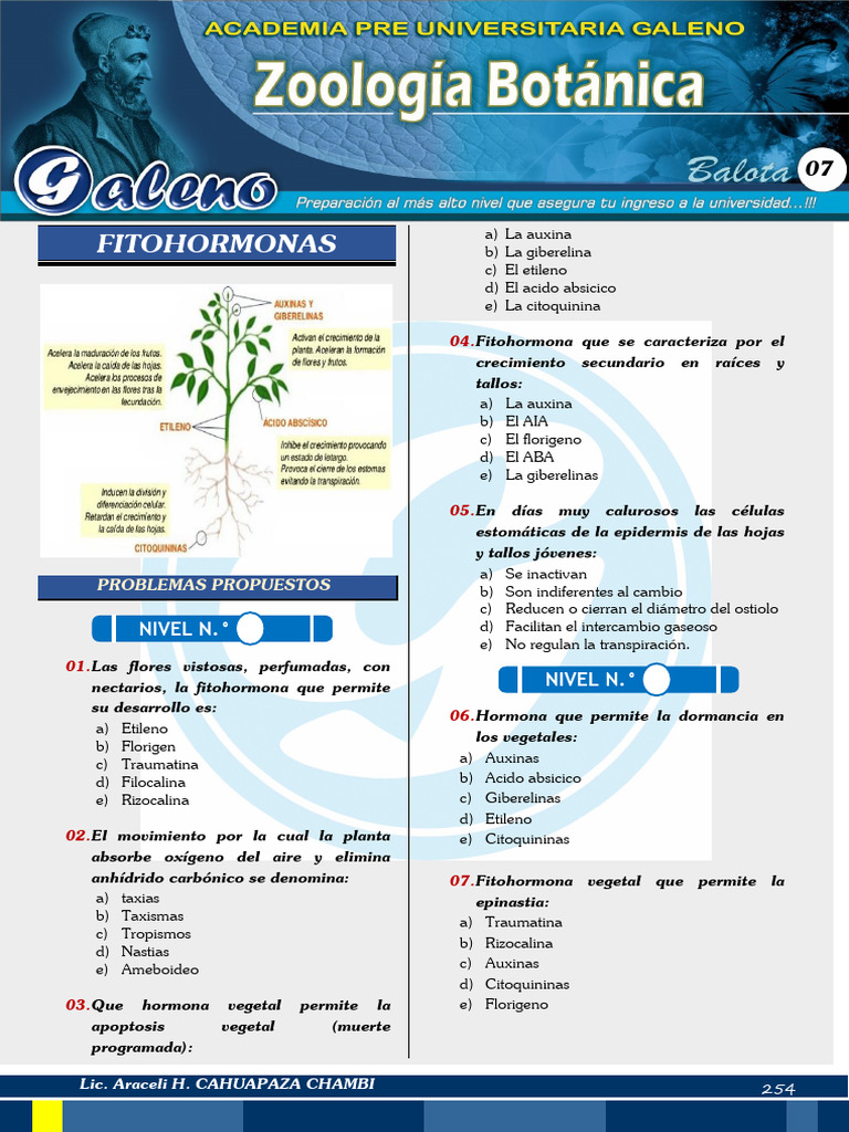Fitohormonas U Hormonas Vegetales | PDF | Hormona Vegetal | Auxina