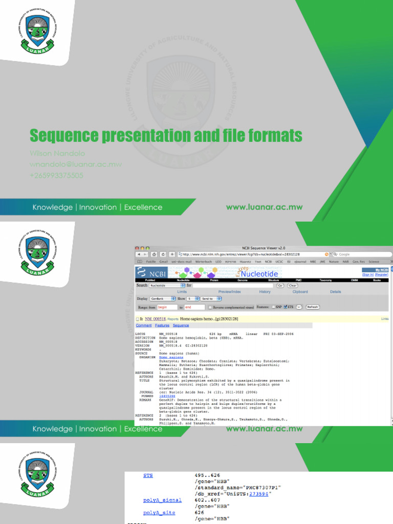 02-B-Sequence Presentation and File Formats | PDF | Nucleic Acid ...