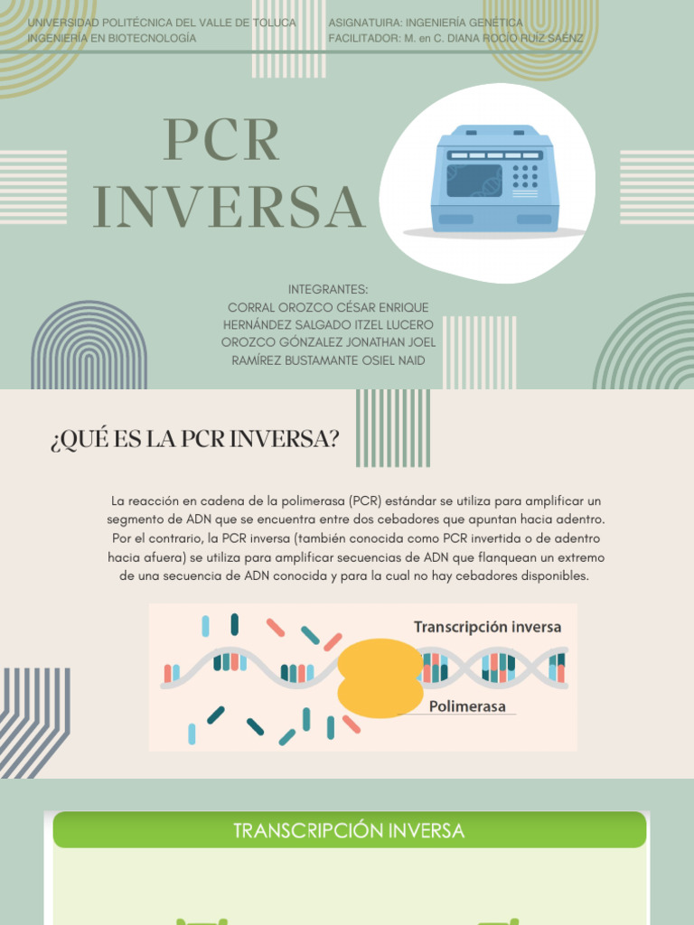 PCR Inversa | PDF | Reacción en cadena de la polimerasa | Reacción en ...