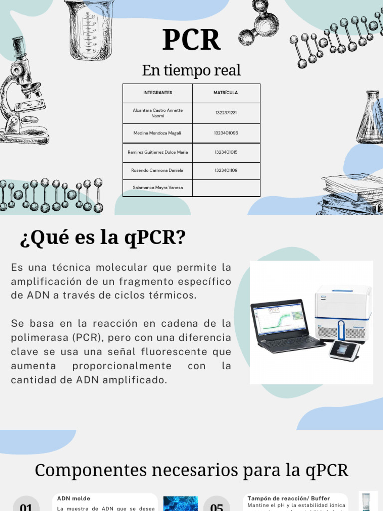 PCR en Tiempo Real | PDF | Reacción en cadena de la polimerasa | Primer ...