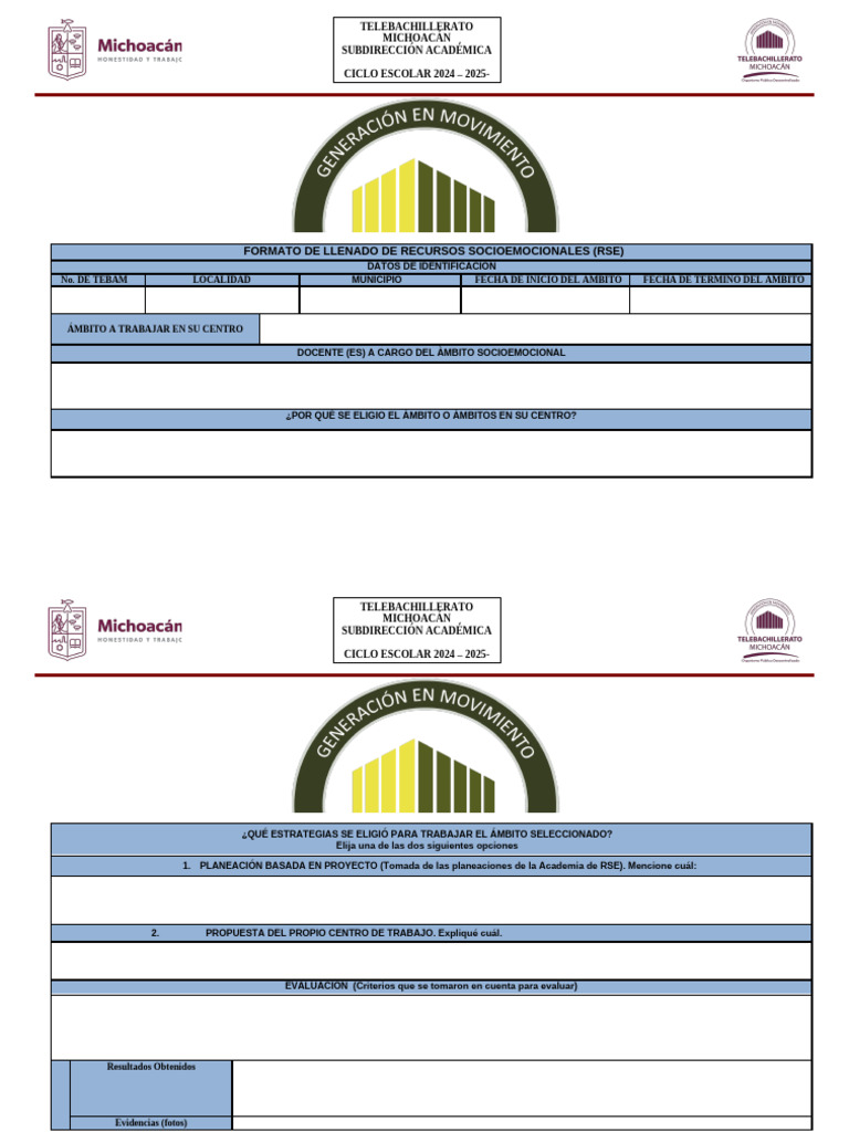 Formato Editable de Rse | PDF