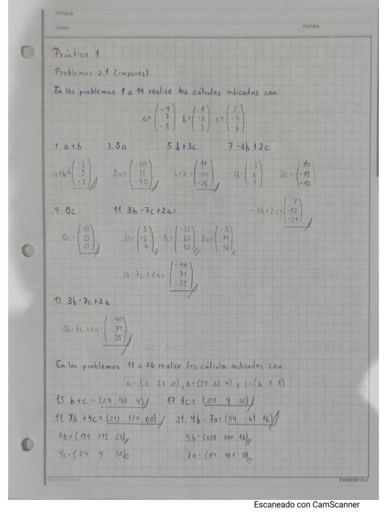 Bellott Pedro - Práctico 1 Algebra Lineal | PDF