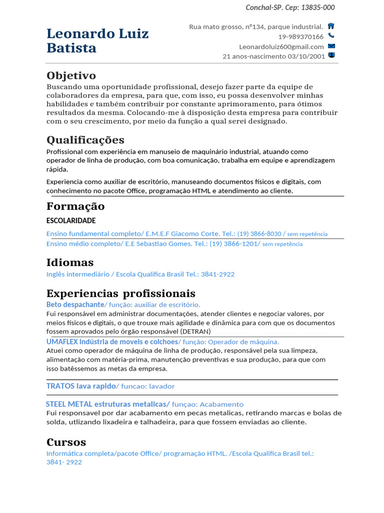 Cópia de Curriculo Leo | PDF