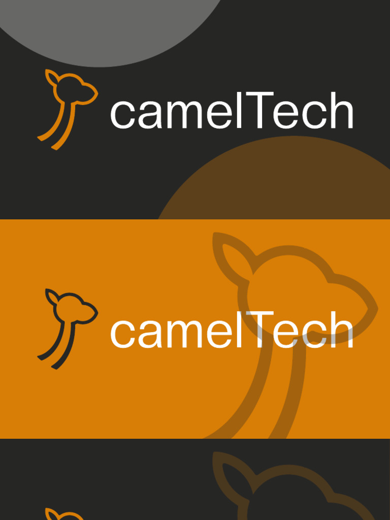Camel Tech Brand Identity | PDF