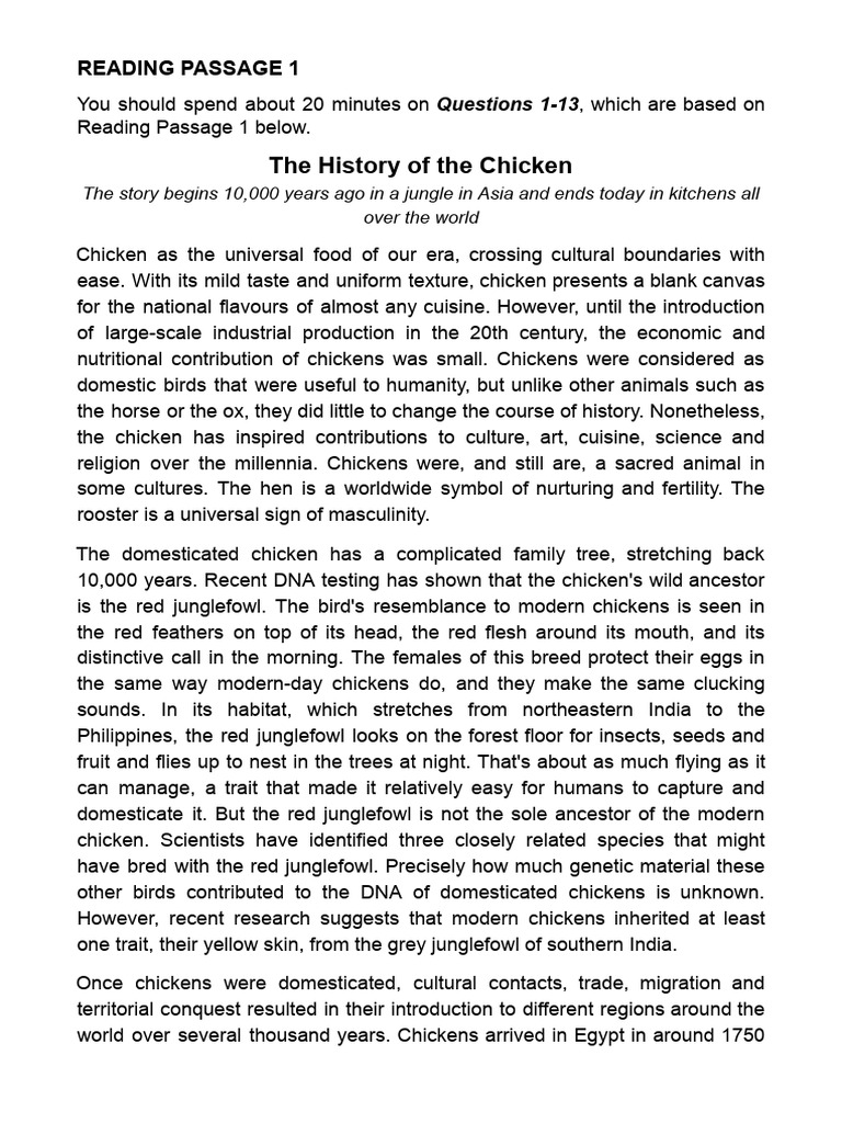 History of the Chicken: 10,000 Years | PDF | Chicken | Birds