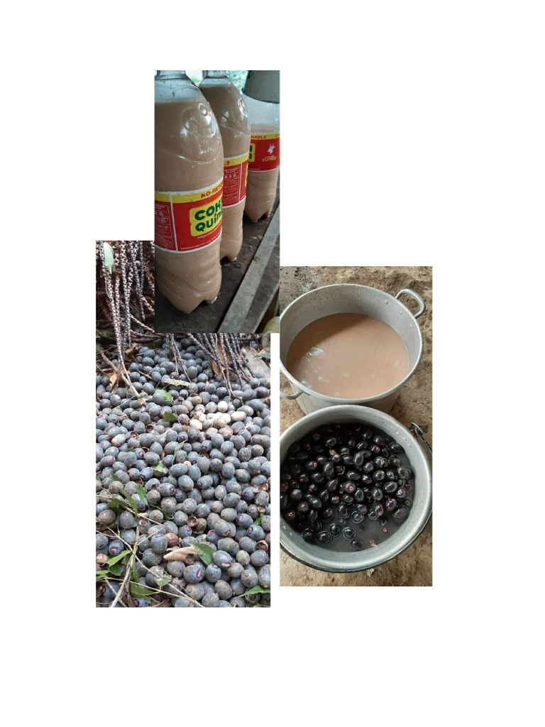 Fotos Diapositiva Chari | PDF