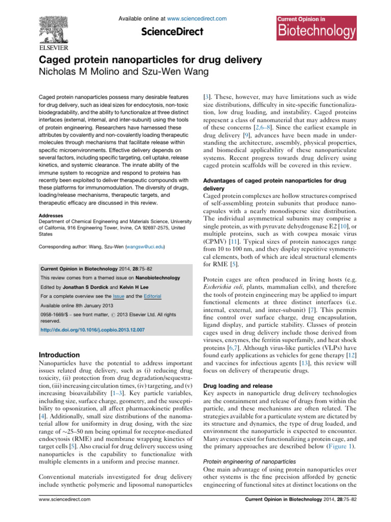 Caged Protein Nanoparticles For Drug Delivery | PDF | Proteins ...