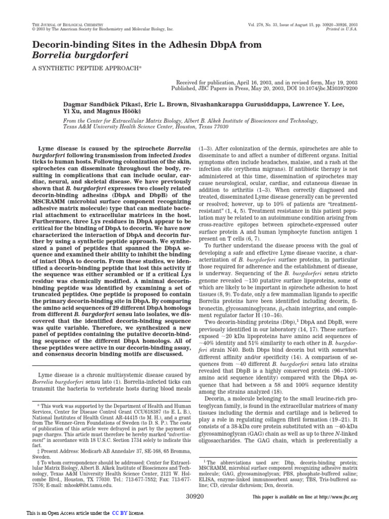 Decorin-Binding Sites in The Adhesin DbpA From Borrelia Burgdorferi ...