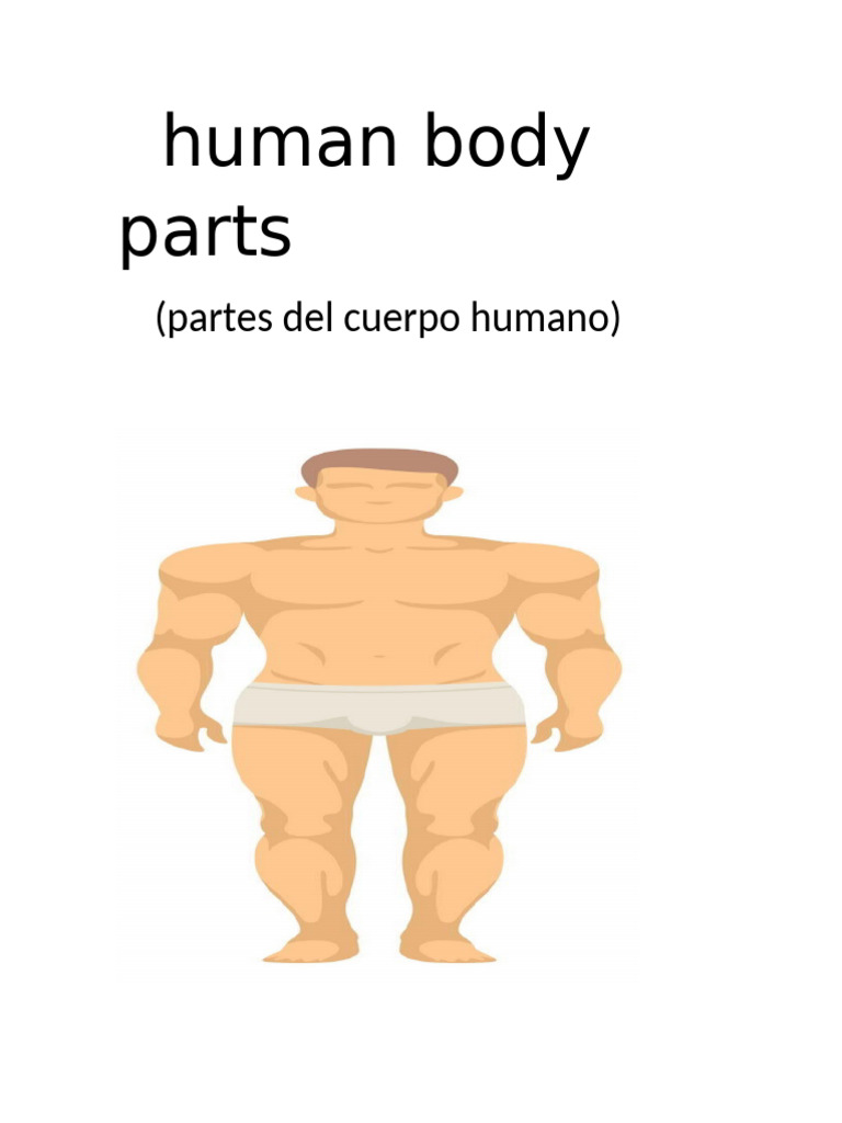 Human Body Parts | PDF