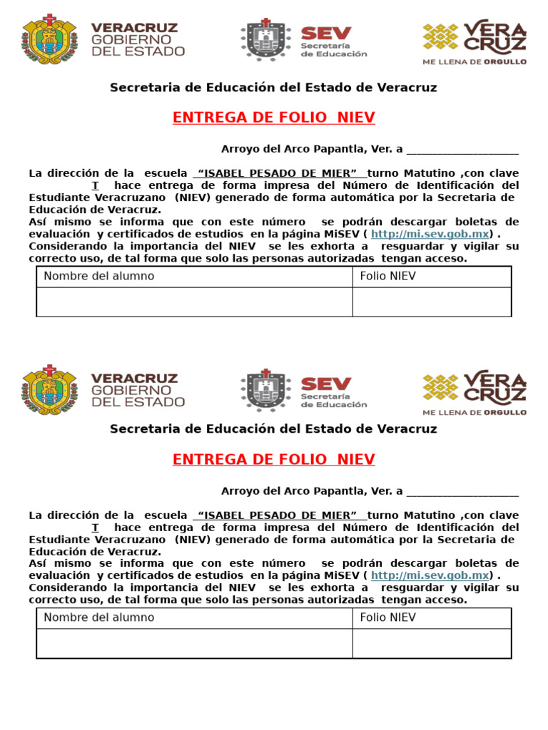 Entrega Niev | PDF