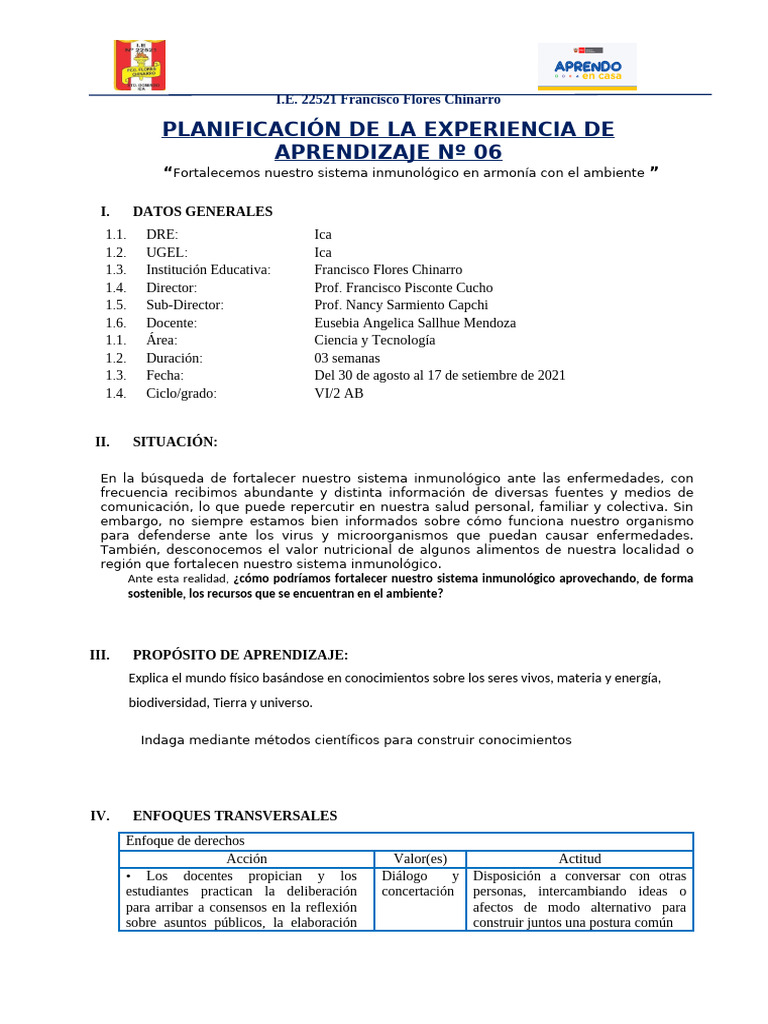 Experiencia de Aprendizaje 06 | PDF | Enseñando | Aprendizaje