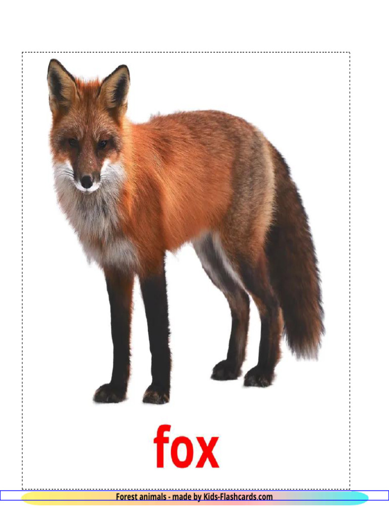Forest Animals 1 Square | PDF