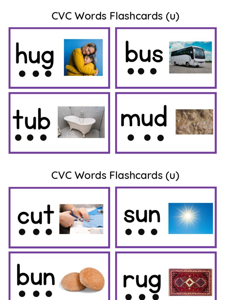 CVC U Phonics White and Blue Lines Flashcard | PDF