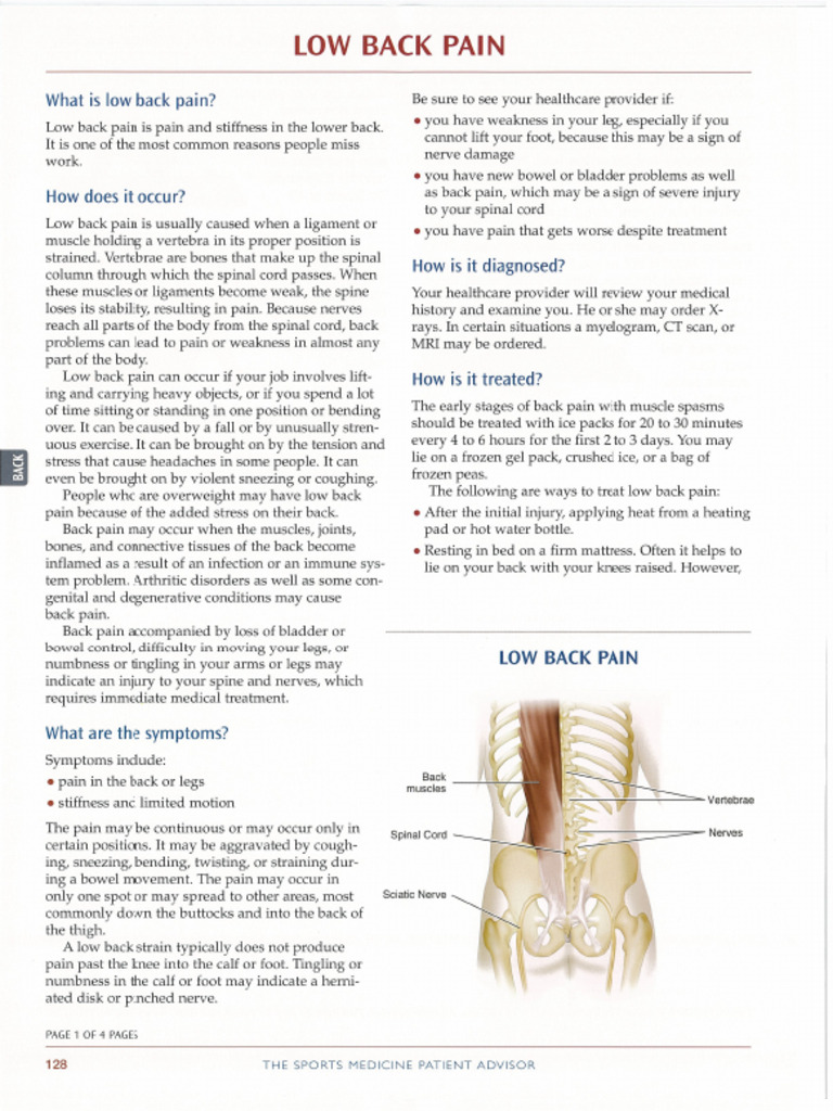 Low Back Pain | PDF