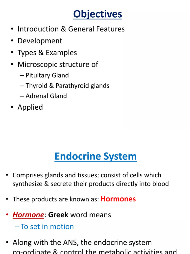 Endocrine | PDF