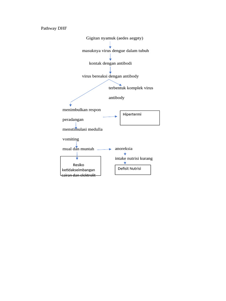 Pathway DHF pada Anak dan Dewasa | PDF