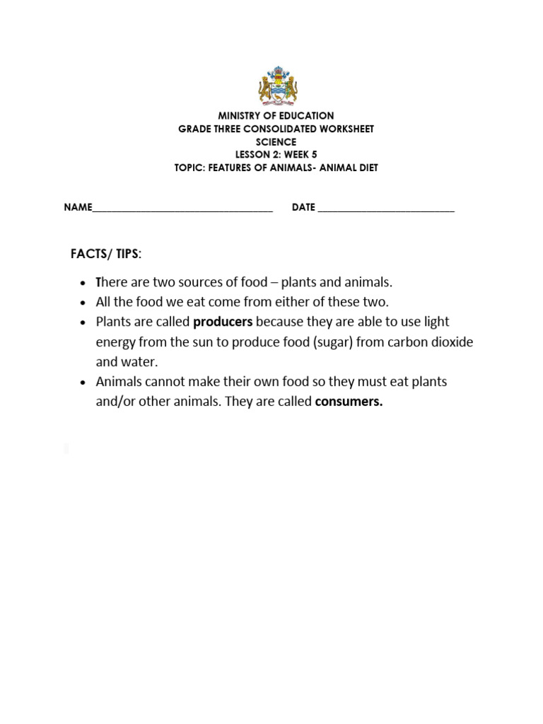 Grade 3 Science Week 5 Lesson 2 - 2022 - Consolidated Worksheet | PDF