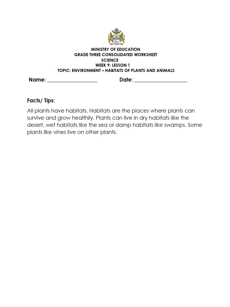 Grade 3 Science Week 9 Lesson 1 - 2022 - Consolidated Worksheet | PDF