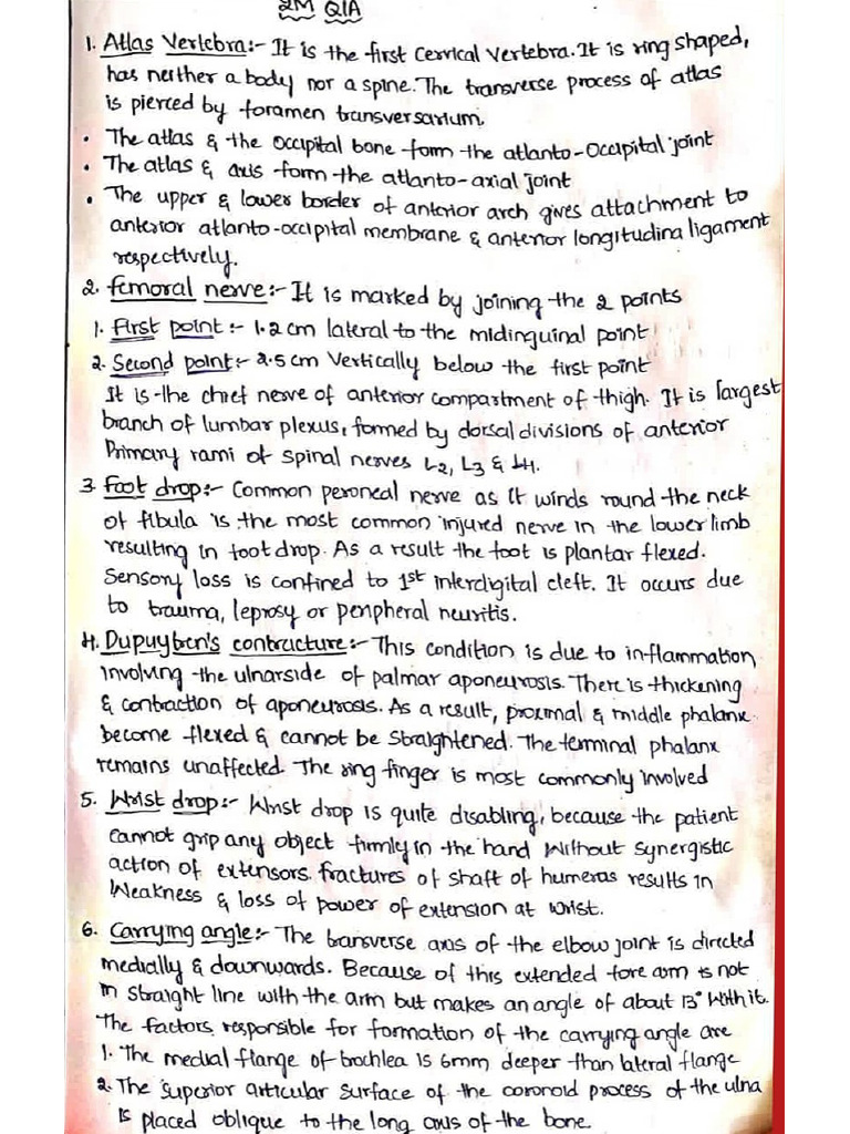 Anatomy 2 Marks | PDF