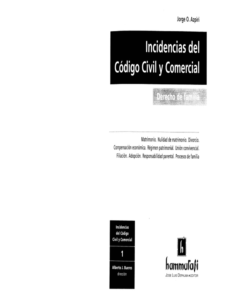 Libro Incidencias Derecho de Familia - Organized - Organized | PDF
