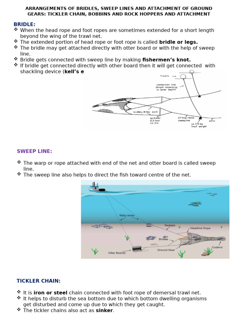 Arrangements of Bridles, Sweep Lines and Attachment of Ground | PDF