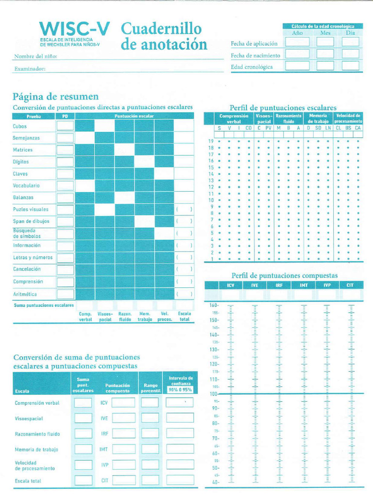 Protocolo WISC V | PDF