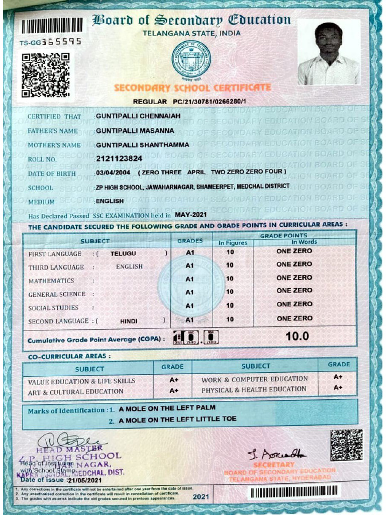 Board Certificate | PDF