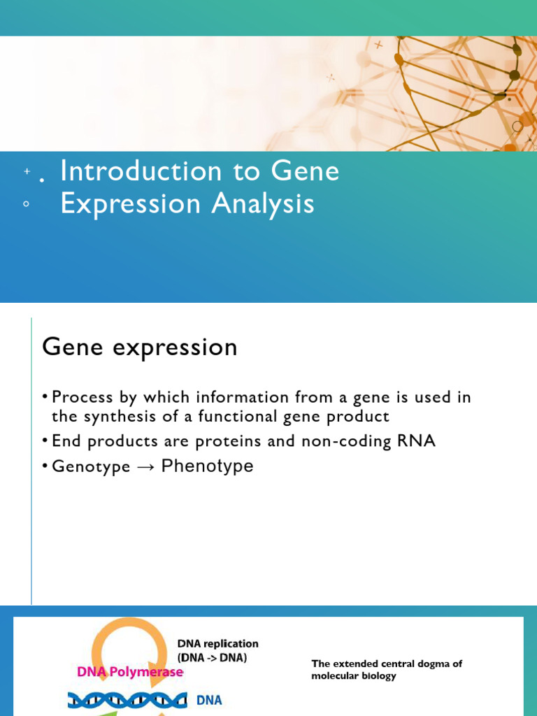 Introduction To Gene Expression Analysis | PDF | Gene Expression | Gene