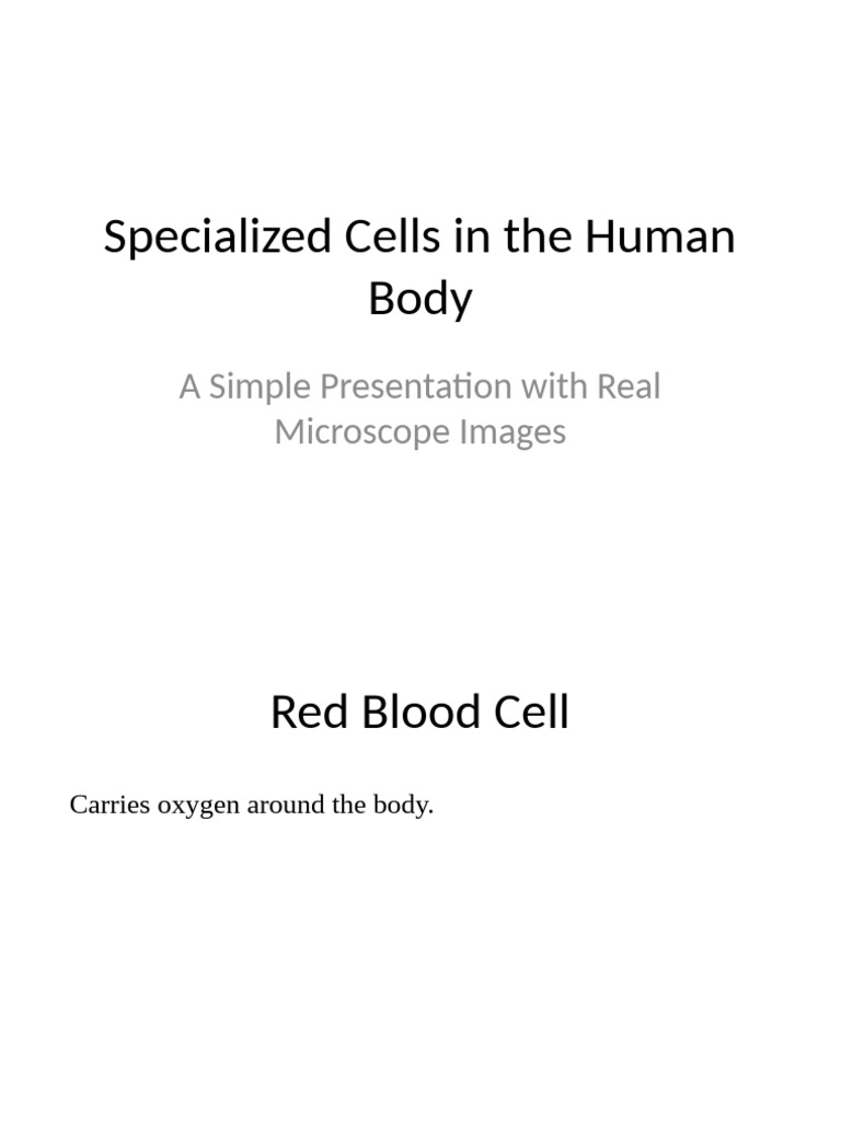 Specialized Cells Presentation | PDF