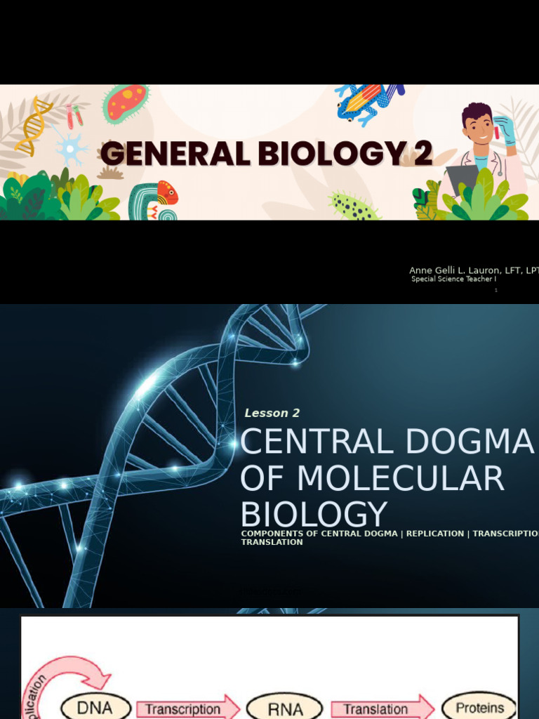 Central Dogma of Molecular Biology Explained | PDF | Translation ...