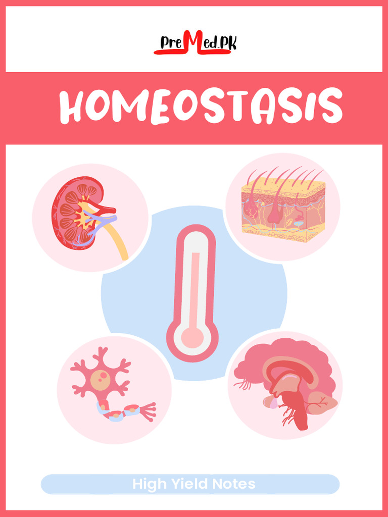 Homeostasis: Mechanisms and Functions | PDF | Homeostasis | Excretion