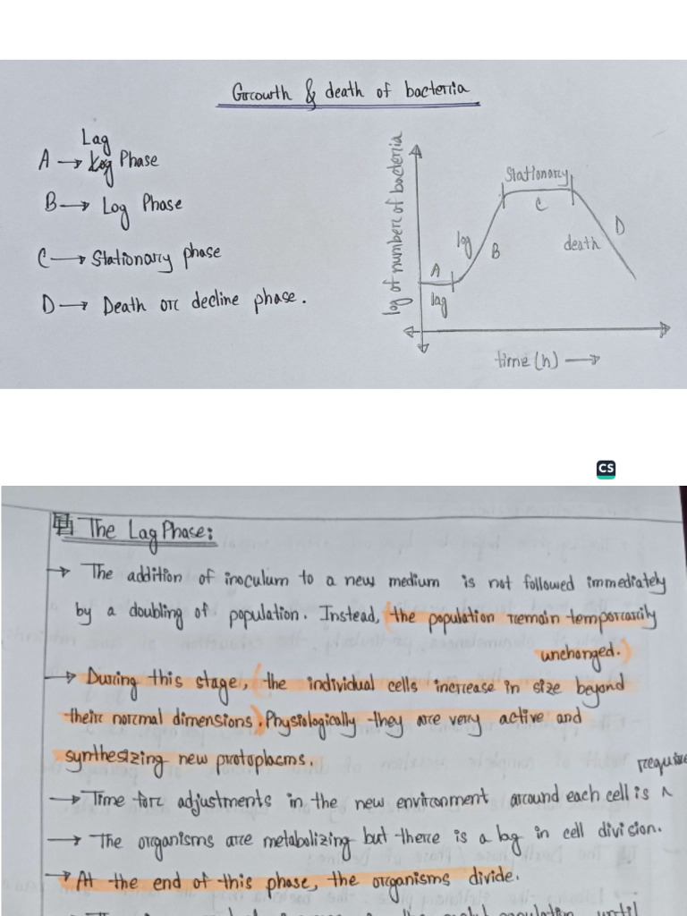 Growth and Death of Bacteria (Bacterial Population Curves, Exponential ...