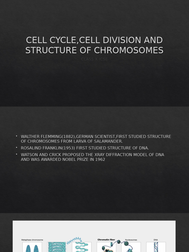 Cell Cycle, Cell Division and Structure of Chromosomes | PDF