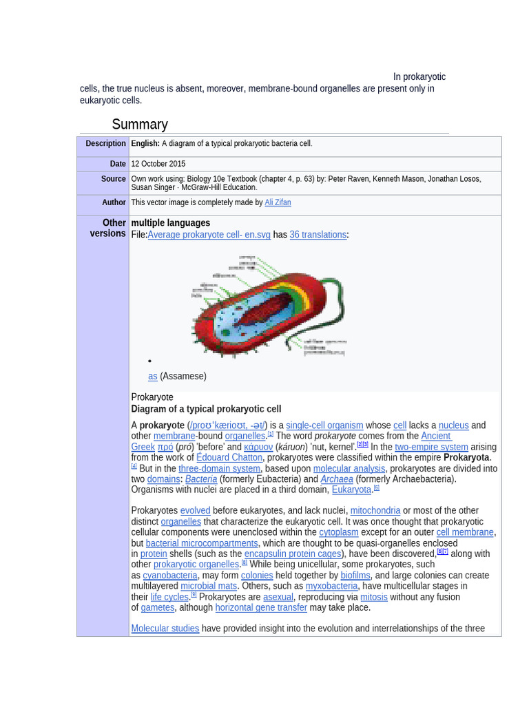 What Is The Difference Between Prokaryotic and Euk | PDF | Prokaryote | Cell (Biology)