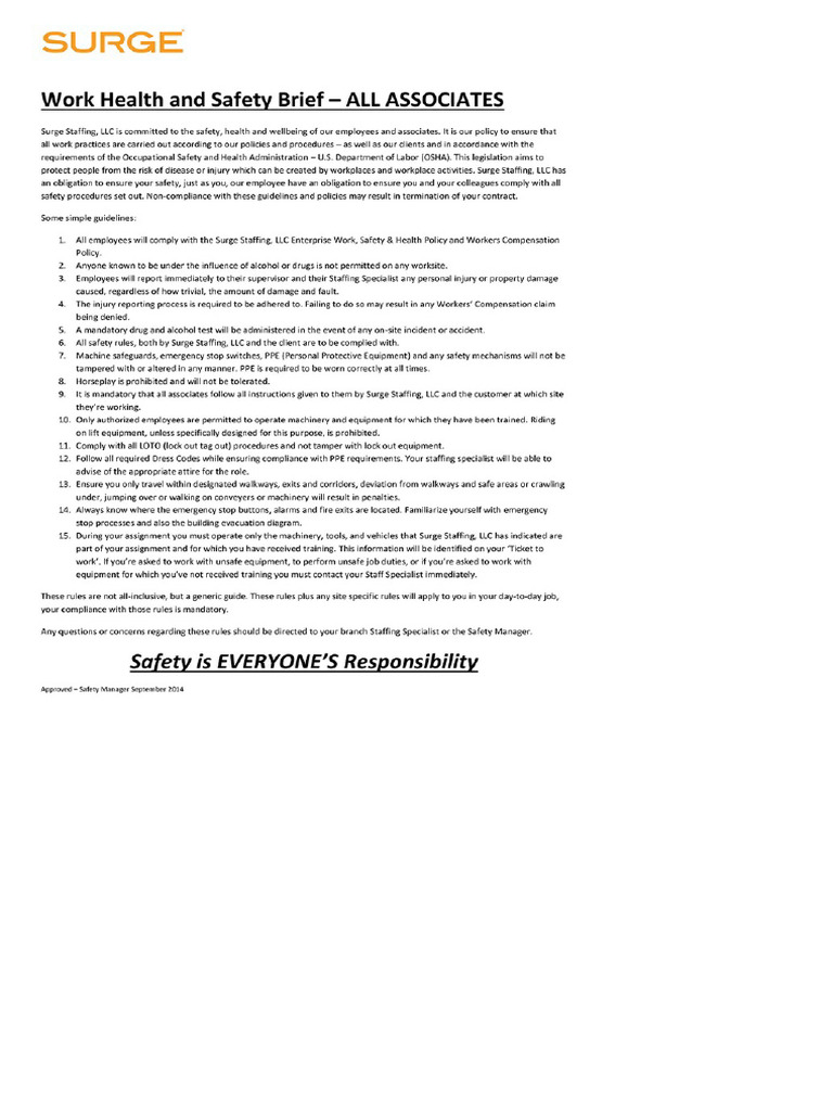Work Health and Safety Brief - 23329926 | PDF