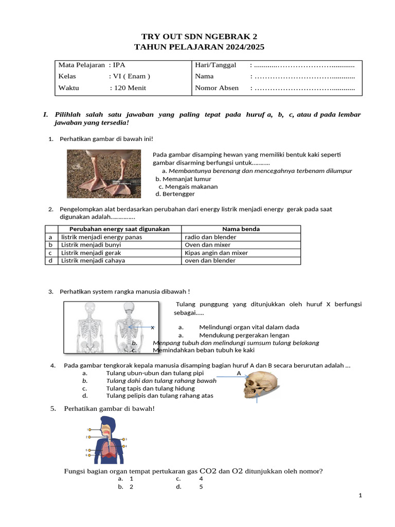 Soal Try Out Ipa 2025 | PDF